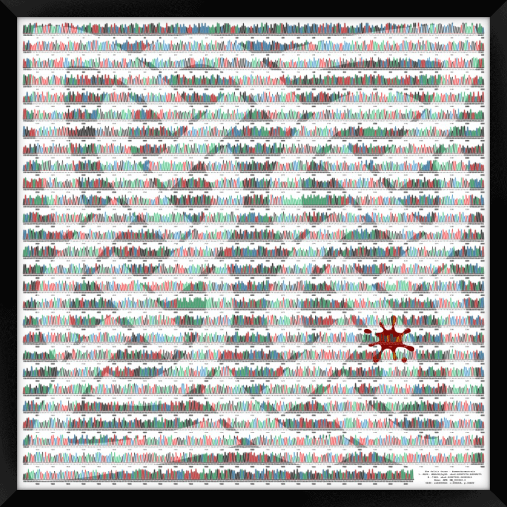 The Celtic Curse – Haemochromatosis – Haemochromatosis Australia